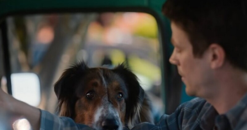 Rescued by Ruby: Trailer, Release Date, and More Updates! • The Awesome One